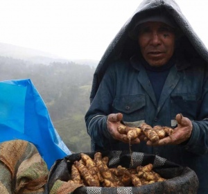 GRJ Y ONG YANAPAI A FAVOR DE COMUNIDAD CAMPESINA DE CULLHUAS | Gobierno ...