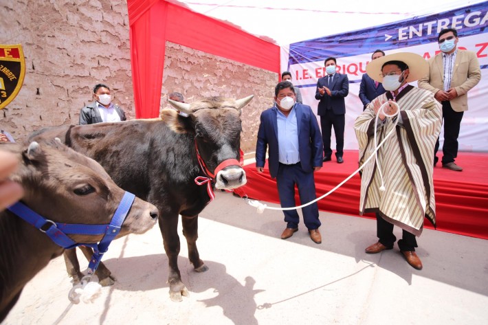 MÃ¡s de 600 estudiantes de la I.E. Enrique Rosado ZÃ¡rate de Sicaya ...