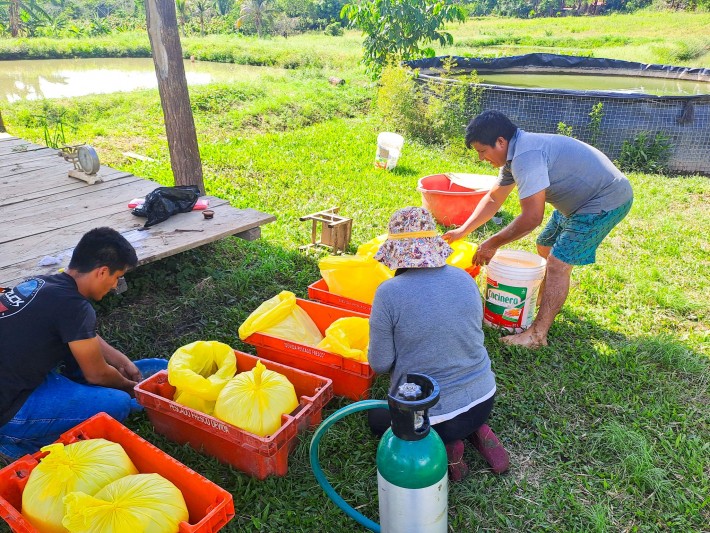 SEGUIMOS FORTALECIENDO LA ECONOMÍA ENE LE VRAEM | Gobierno Regional ...