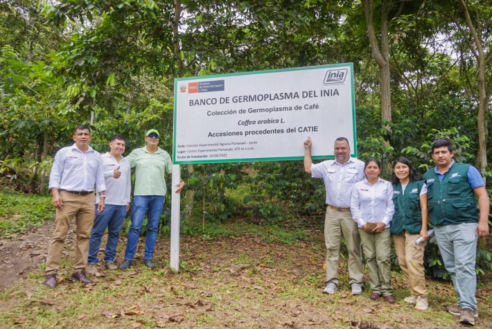 EL CAFÉ DE JUNÍN SE CONECTA AL MUNDO | Gobierno Regional Junín - 2026